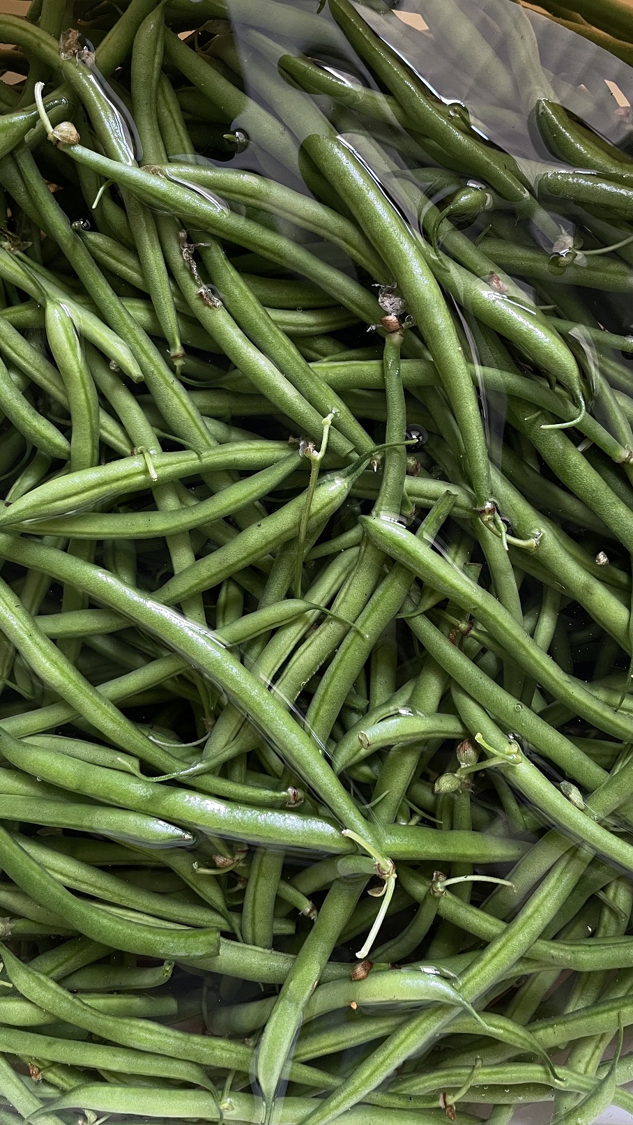 Corporación AGRIDOC S.A.